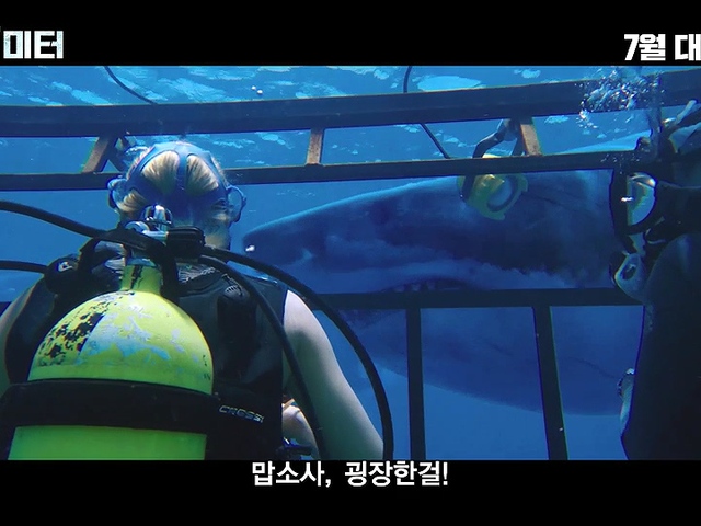 47 미터 (47 Meters Down) 상세정보 | 씨네21